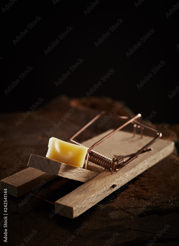 Poster Print Wooden snap style mouse trap baited with cheese 30x40 cm