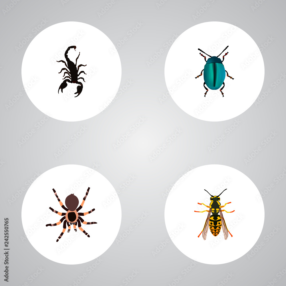 Vetor de Set of insect realistic symbols with scorpion, sting, insect ...