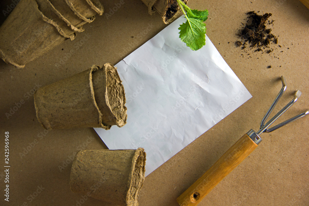 Peat pots for planting, pots for seedlings, garden background, seed ...