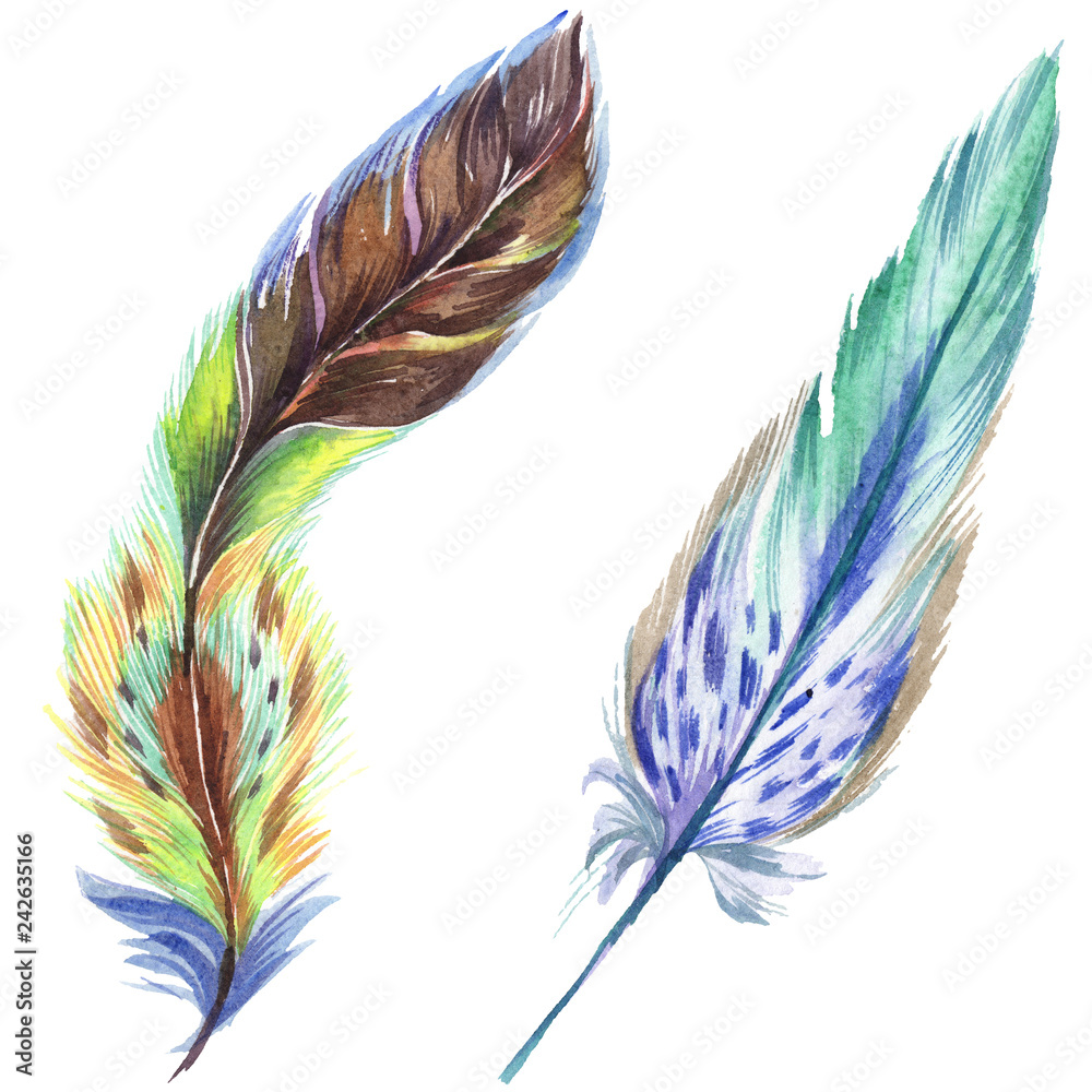 Colorful Feathers Drawing
