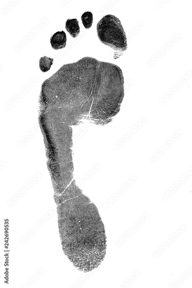 Black prints of feet on transparent paper. Black footprint. Isolated on ...