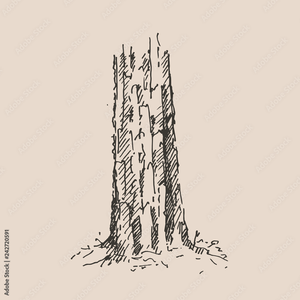 Hand drawn tree stump. Vector illustration. Stock Vector | Adobe Stock