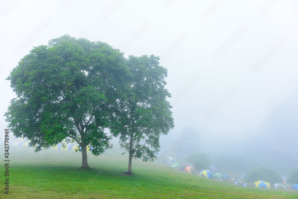 Viewpoint sea of mist, Beautiful mountain view with fog, sunrise scene ...