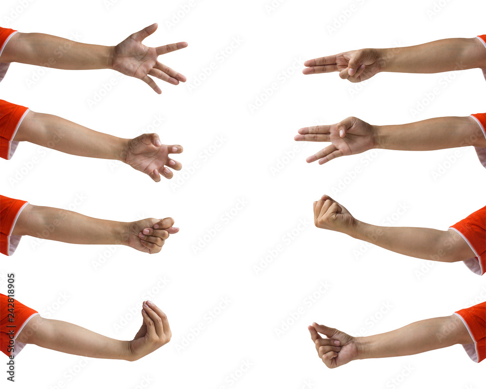 Cropped of female hand gesture set isolated on white background ...