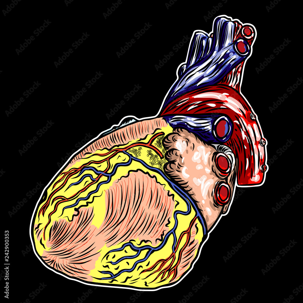 Human heart anatomically hand drawn. Cartoonish flash tattoo design ...