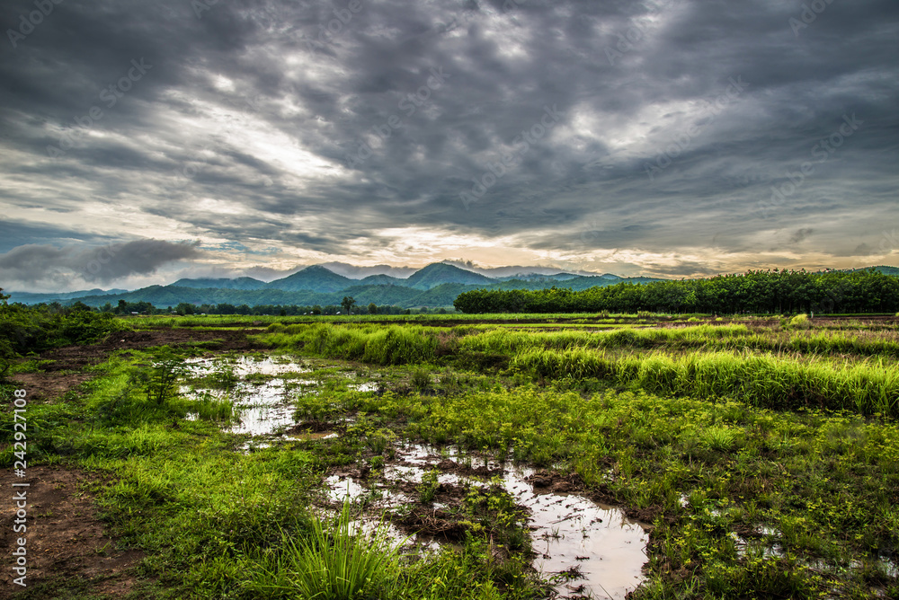 Rain clouds the storm on field / The thunder storm clouds on sky gloomy ...