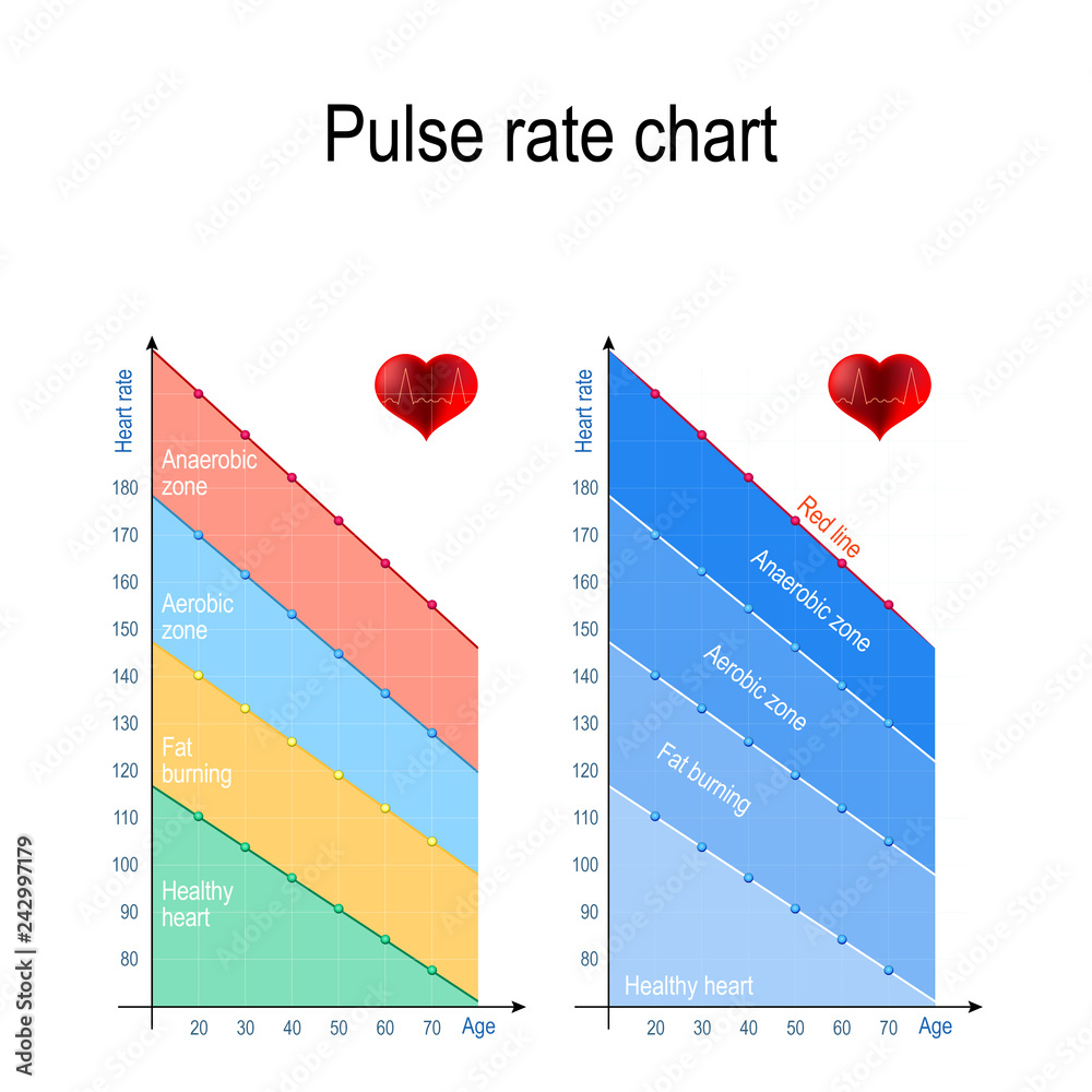 Pulse rate chart for healthy lifestyle. Maximum heart rate. Stock ...