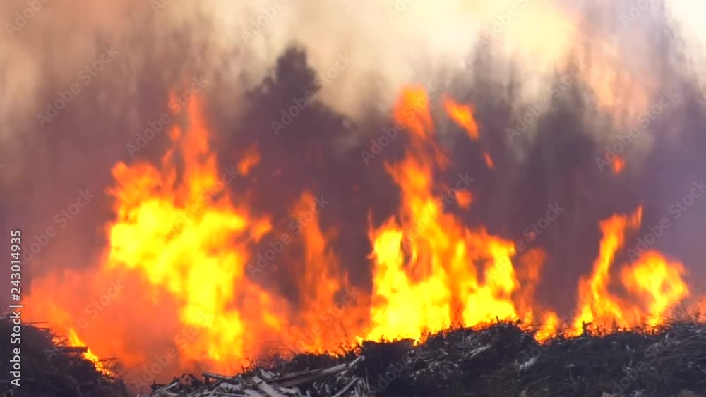 Fire at the industrial site. Firefighters extinguish a fire at the ...