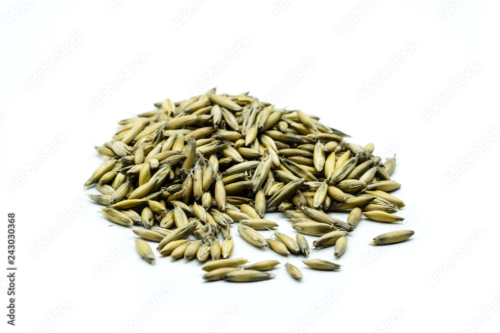 Pile of oat grains with peel isolated on white background Stock Photo ...