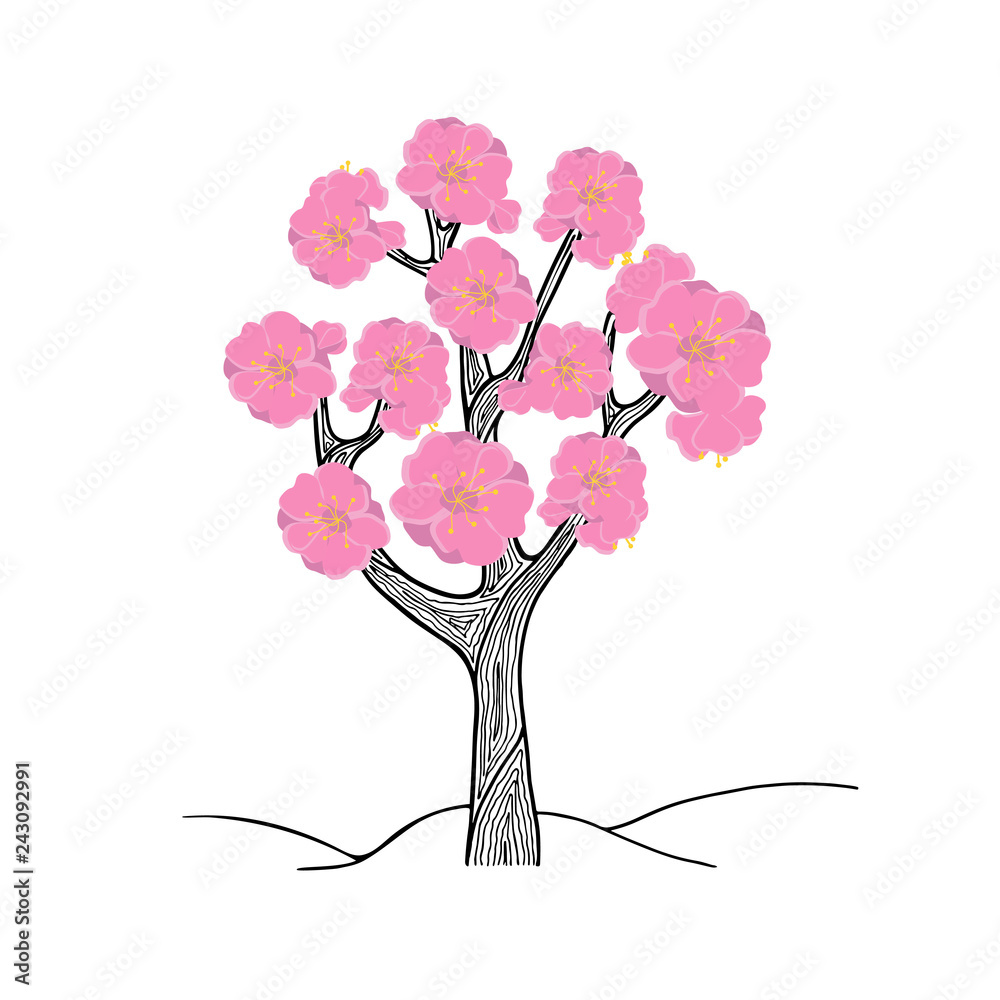 Peach Tree Blossom Drawing