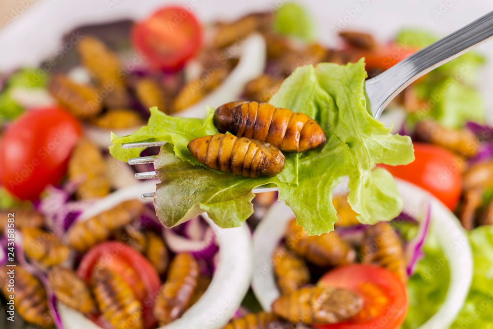 Food Insects: Worm insect or Chrysalis Silkworm fried for eating as ...