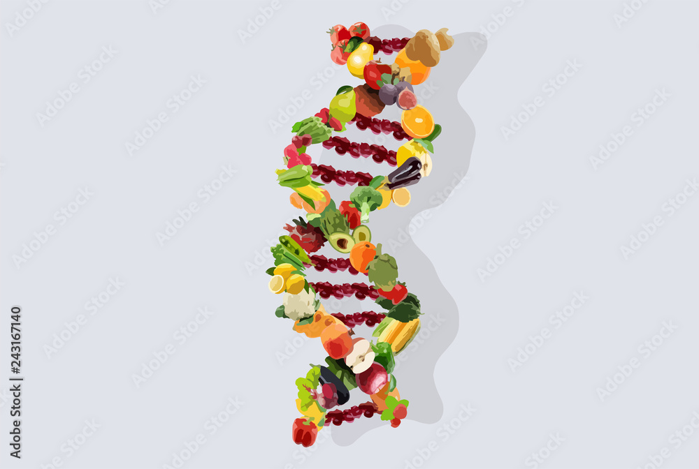Nutrigenetics concept illustration for DNA strand made from vegetables ...