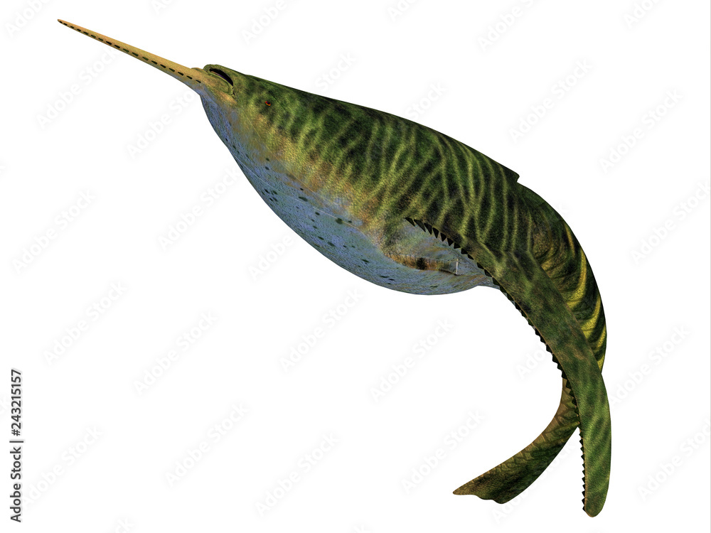 Doryaspis Fish Side Profile - Doryaspis is an extinct primitive jawless ...