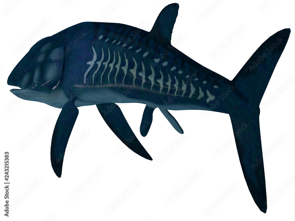Leedsichthys Fish Tail - Leedsichthys was an enormous marine fish that ...