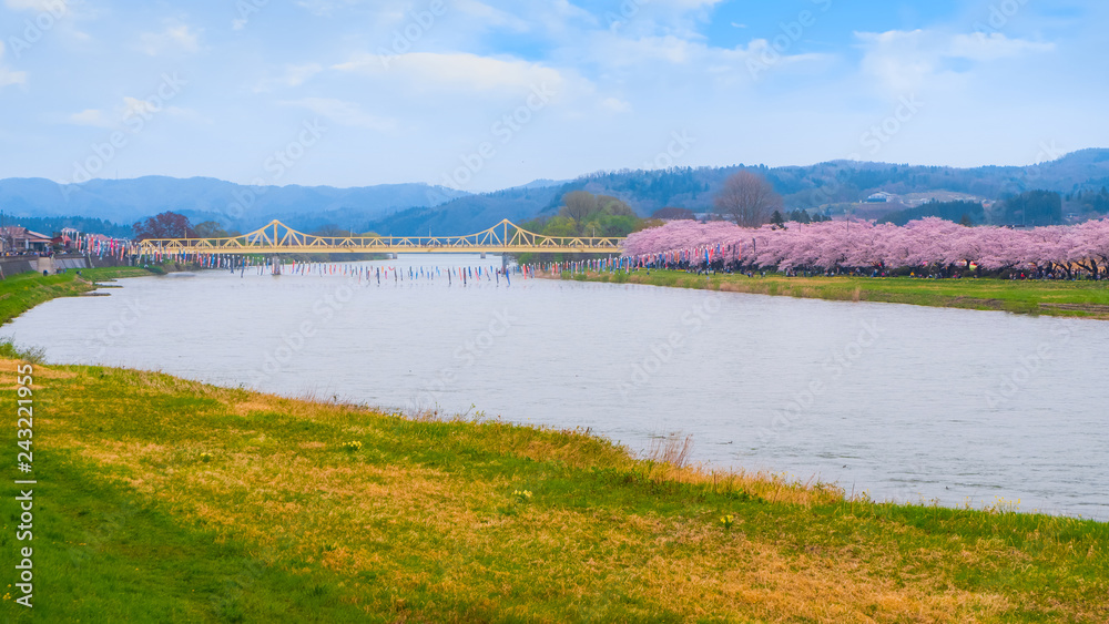 Foto de Iwate , Japan - April 22 2018: Kitakami Tenshochi park located ...