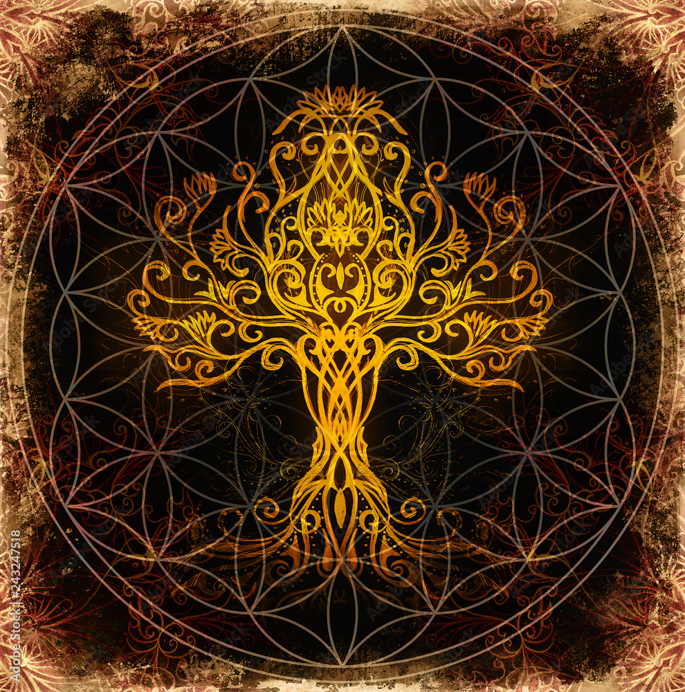 tree of life symbol on structured ornamental background, flower of life ...