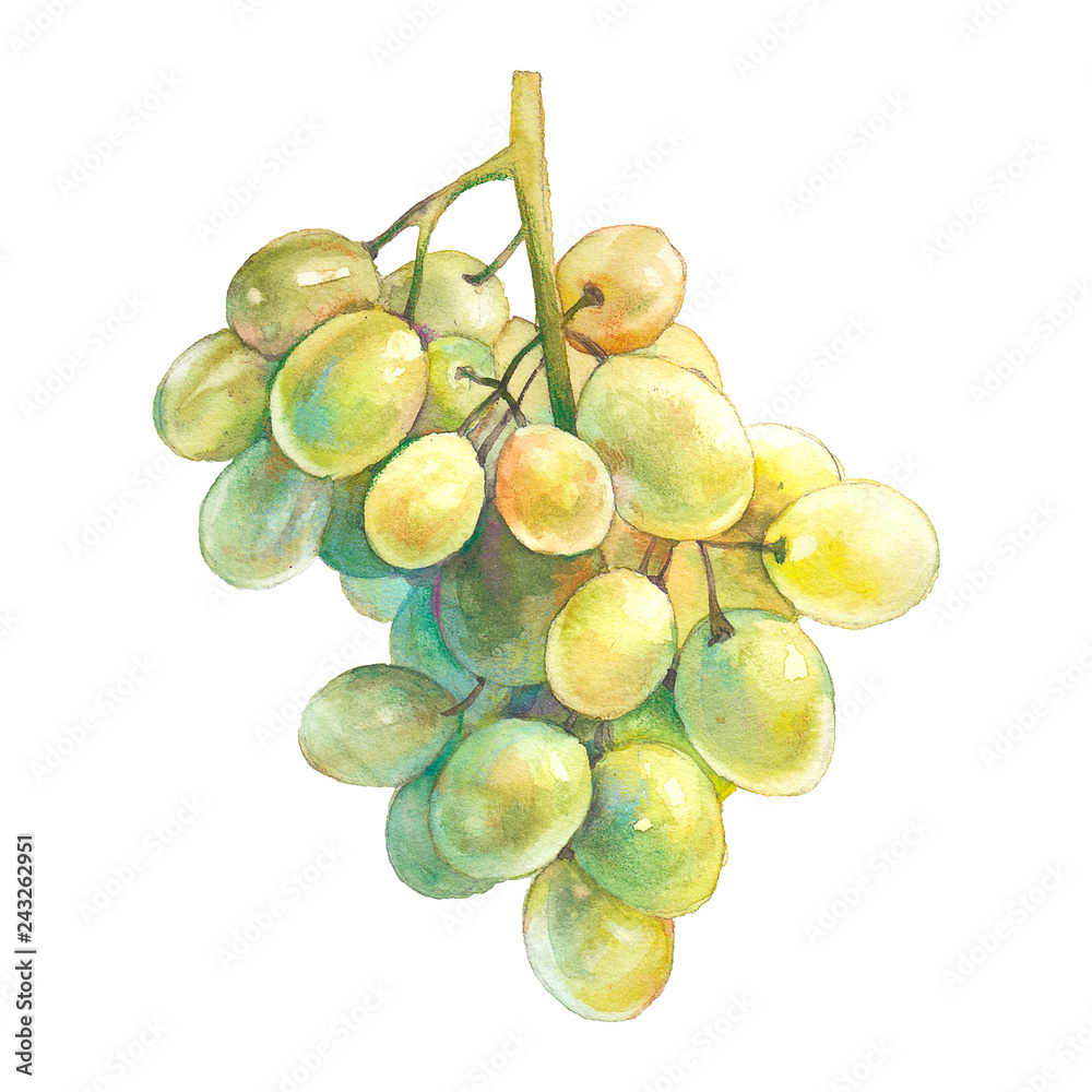 Yellow Green Grapes