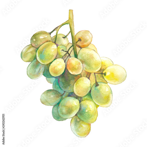 Green Grapes Painting