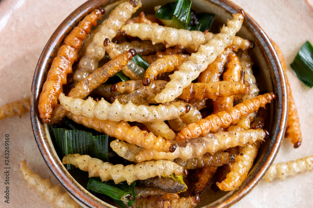 Bamboo edible worm insects crispy or Bamboo Caterpillar in a ceramic ...