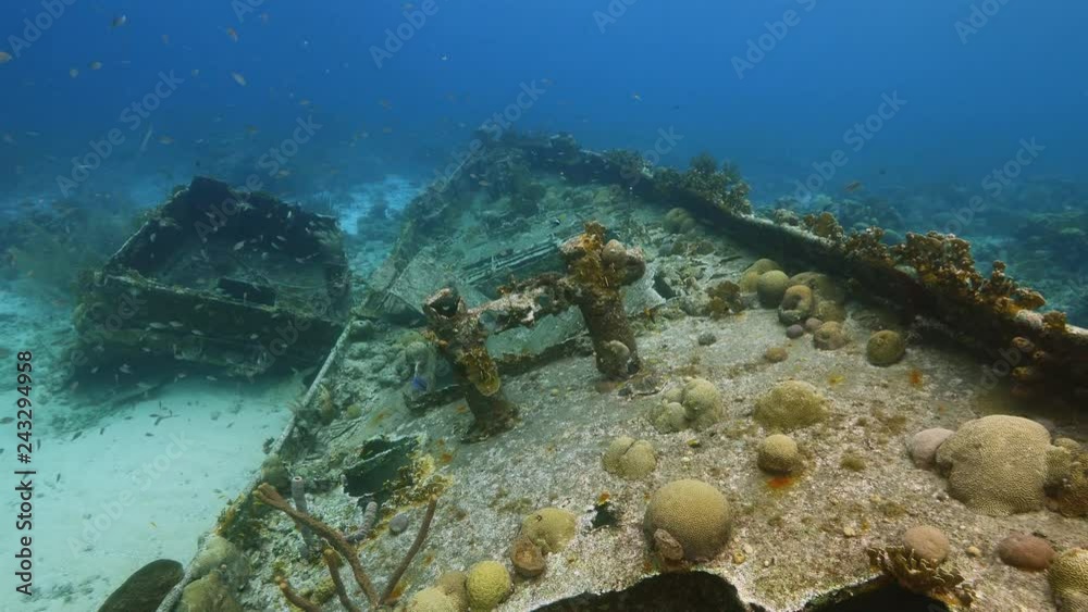 Seascape of coral reef in the Caribbean Sea around Curacao at dive site ...
