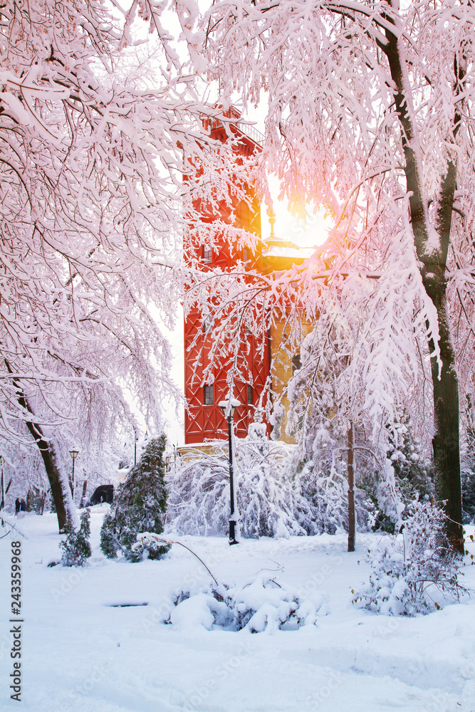 Foto de Winter city park landscape. Frosty trees covered with snow in ...