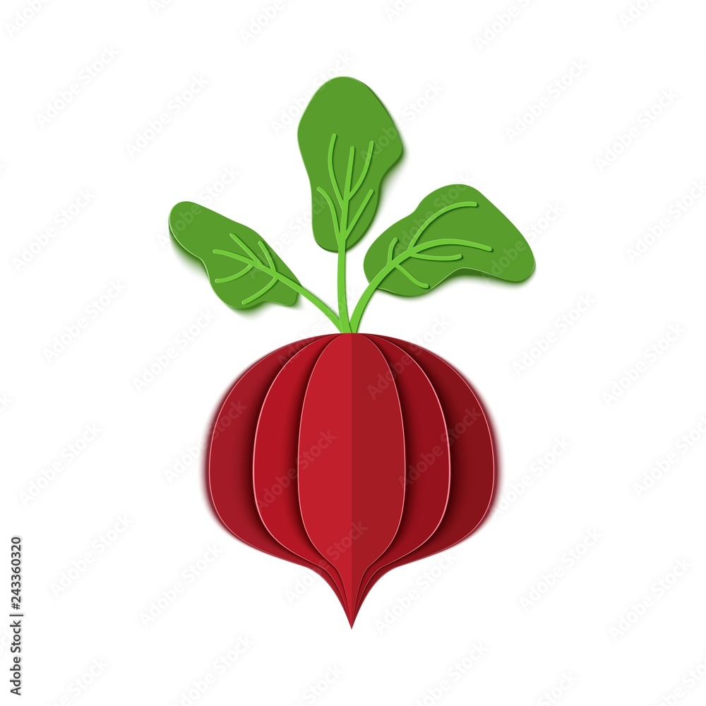 Paper cut red beet. Vector paper cut design in the form of ripe whole ...