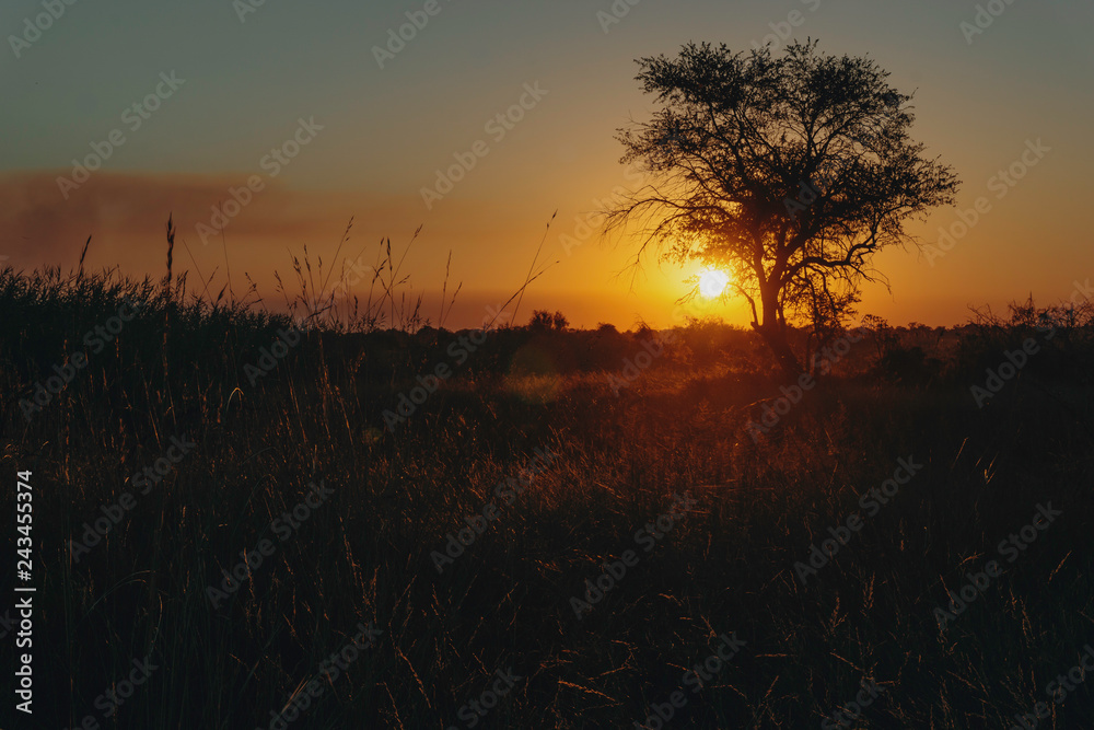 Sonnenuntergang im Marschland des Kwando River, Caprivi, Namibia Stock ...