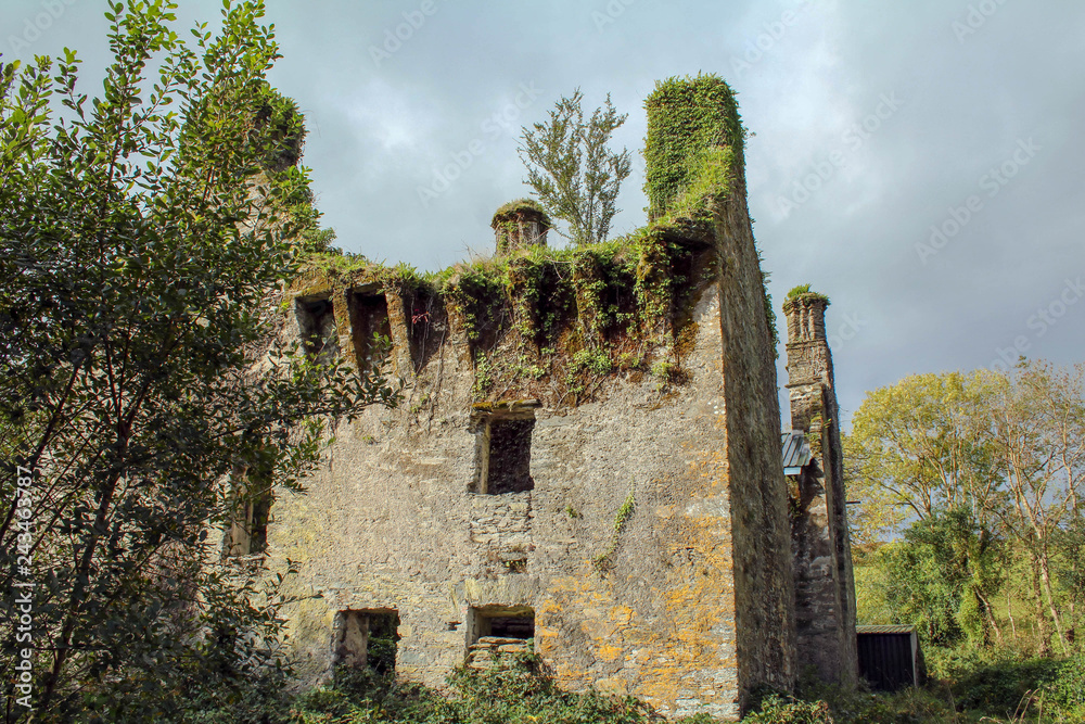Durrus Court Castle west Cork Ireland Stock Photo | Adobe Stock