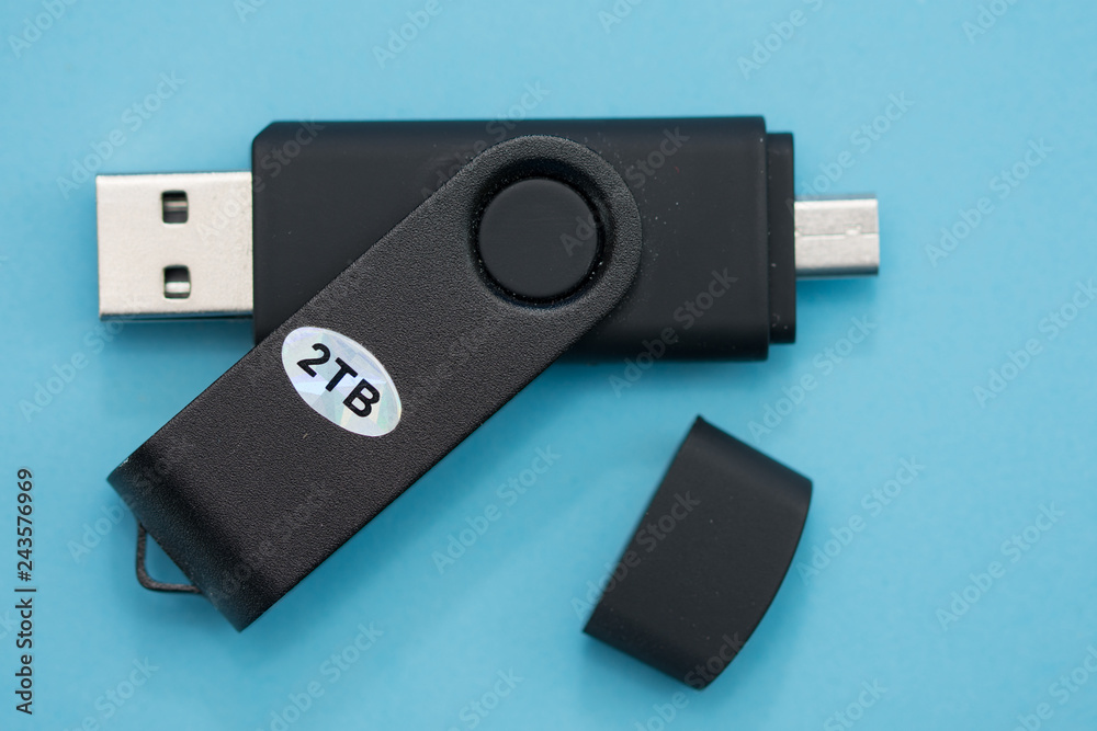 2 TB USB 2.0 Micro USB Flash Drive / OTG Android Stick / Memory Stick ...