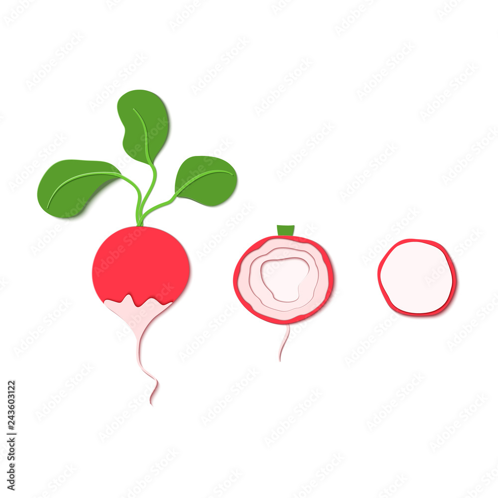 Set of paper cut red radish. Vector paper cut design in the form of ...