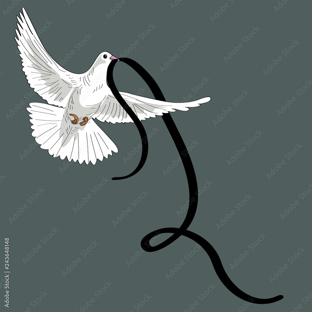 Rest in Peace. Flying pigeon with black ribbon on grey background ...