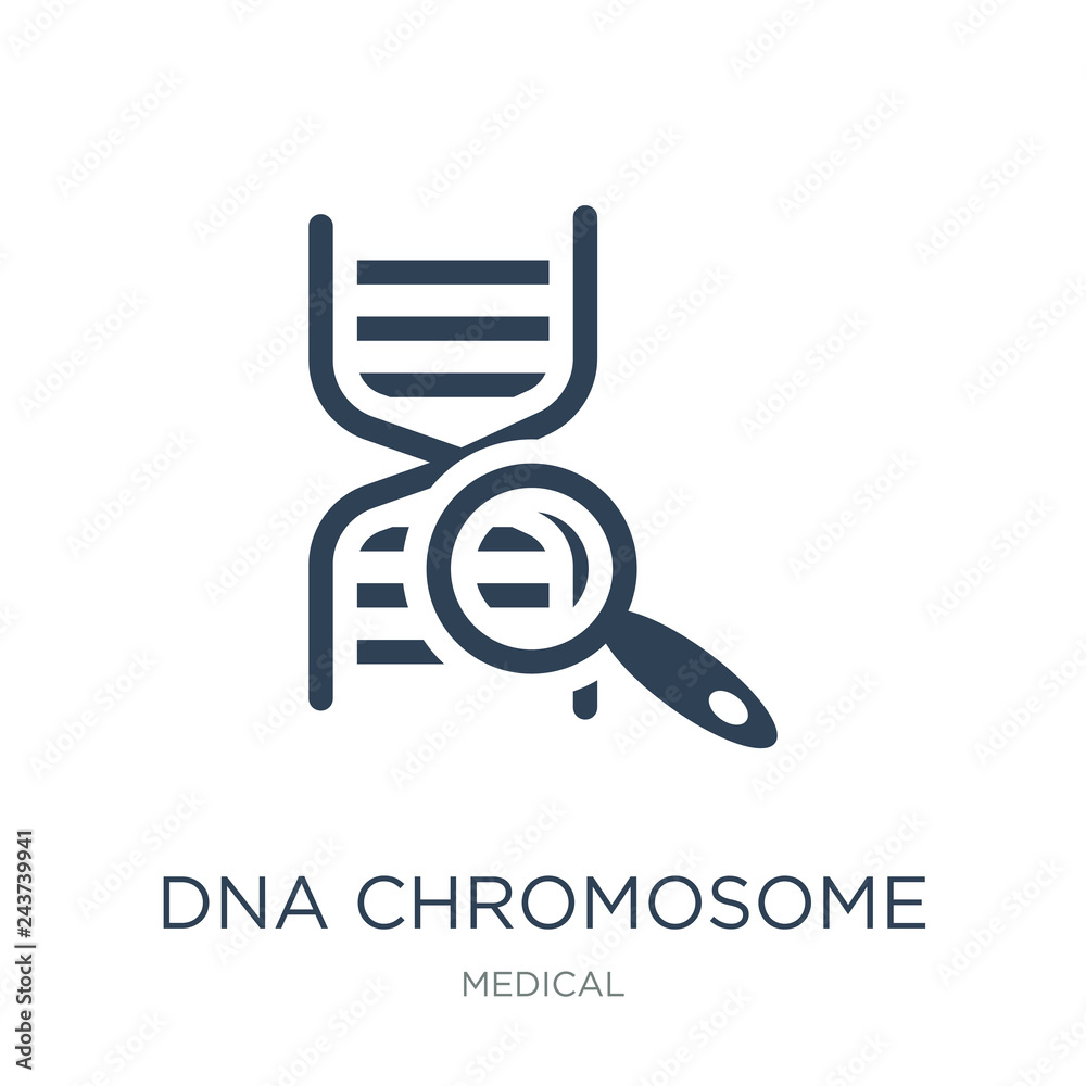dna chromosome icon vector on white background, dna chromosome t Stock ...