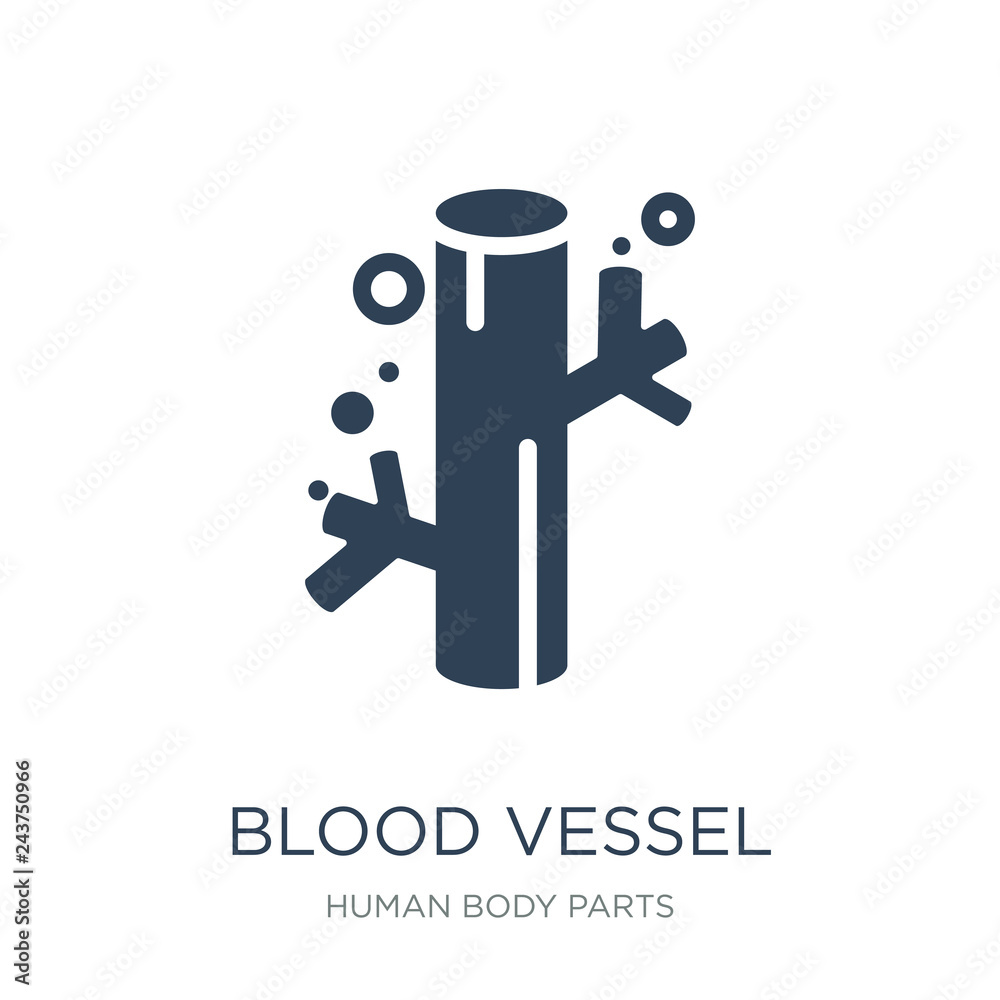 blood vessel icon vector on white background, blood vessel trend Stock ...