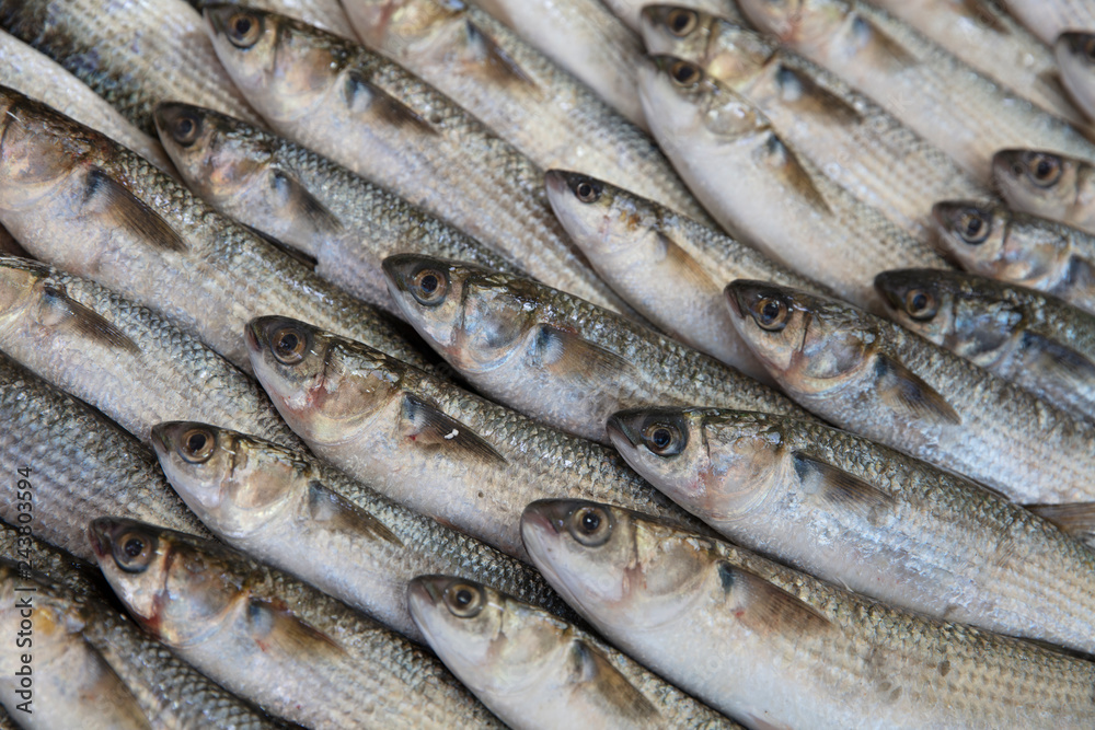 Fotografia do Stock: Fresh Mugil On Display On Ice On Fishermen Market ...
