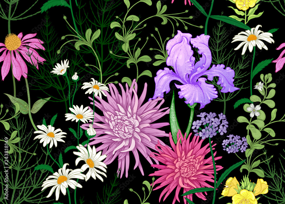 Seamless background with wild flowers. Full color pattern. Stock Vector ...