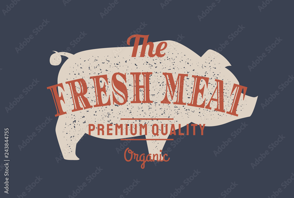 Pig, pork. Vector vintage logo, retro print, poster for Butchery meat ...