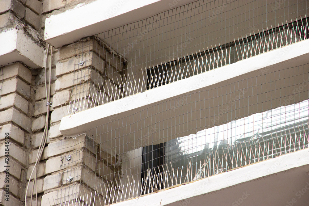 part of the facade of the building with plastic spikes against pigeons ...