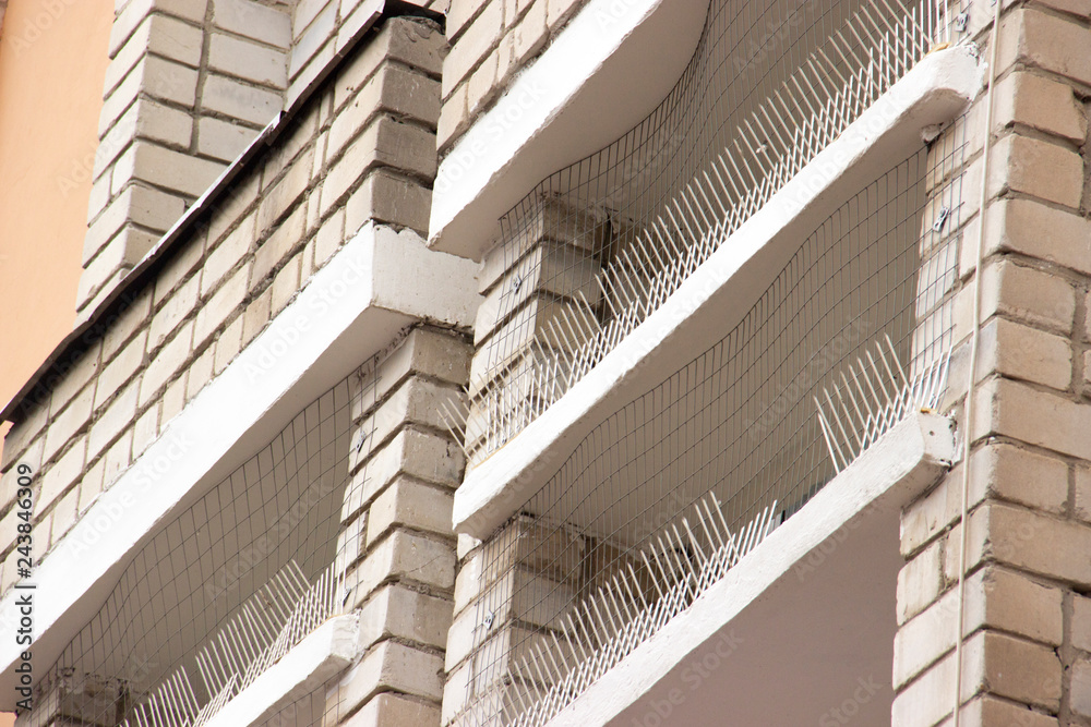 part of the facade of the building with plastic spikes against pigeons ...