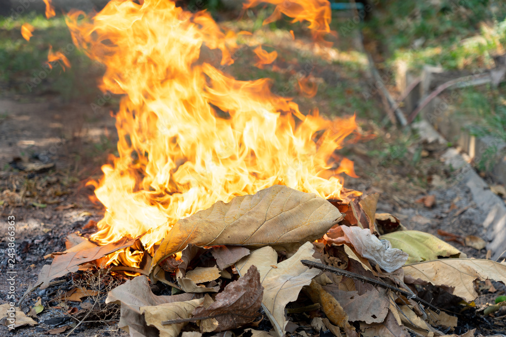 Flames from burning waste, dry leaves cause smoke, dust, air pollution ...