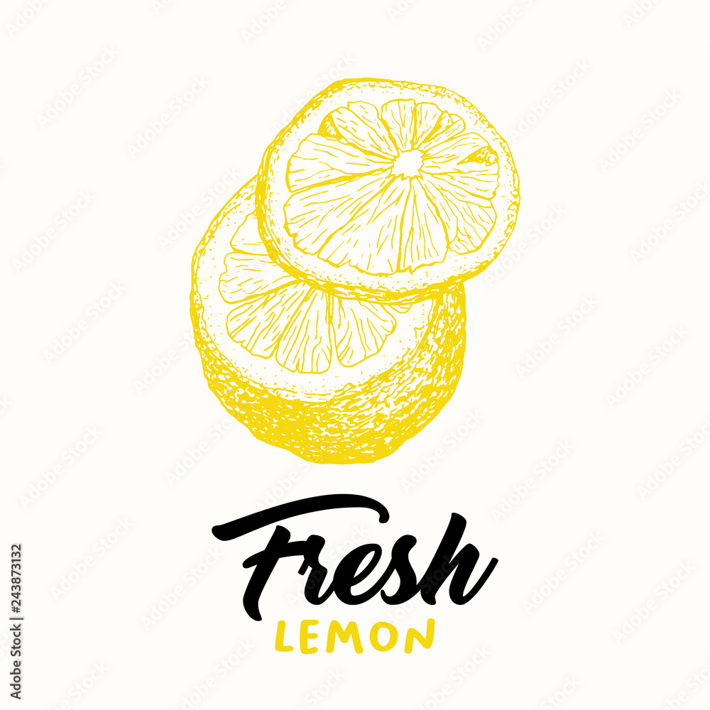 Fresh lemon vector illustration. Sketch fruit clipart. Handwritten ...