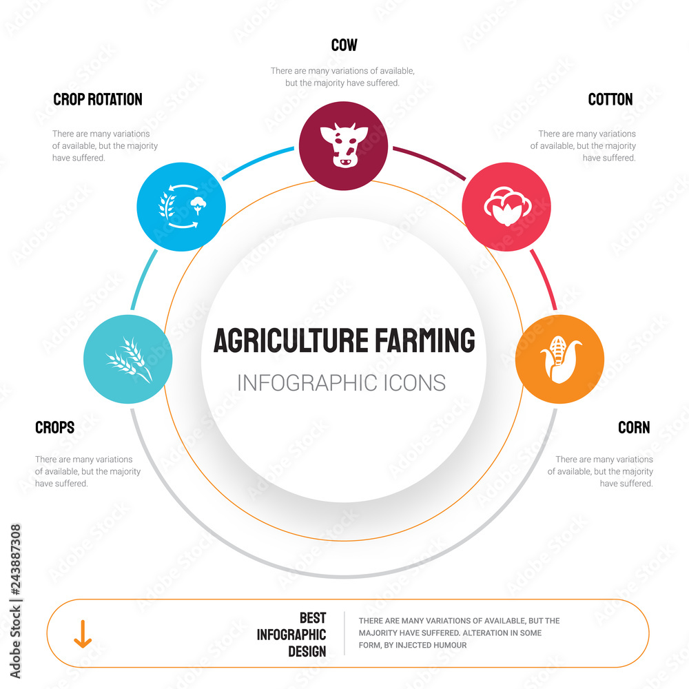 Crop Rotation Diagram