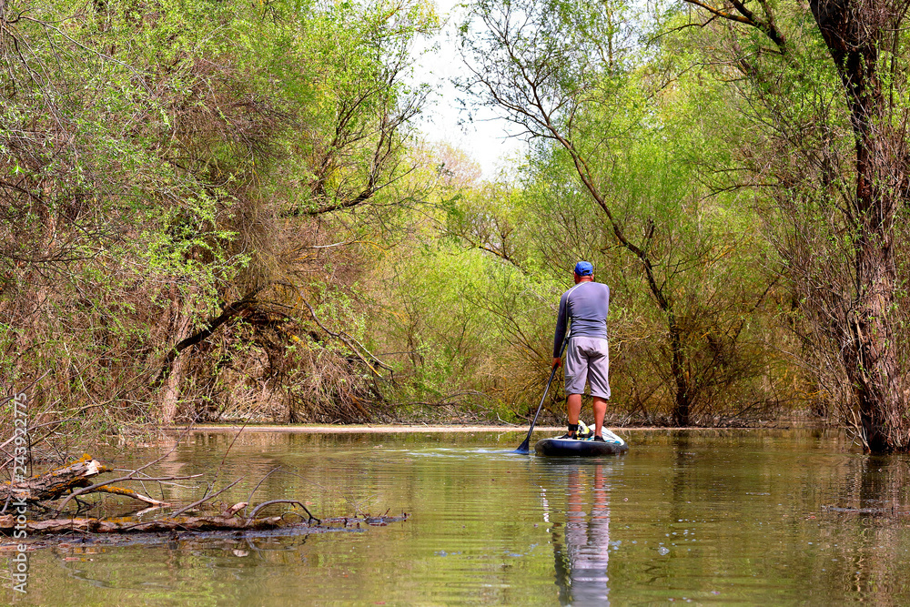 Man on stand up paddle boarding (SUP) paddling among flooded trees in ...