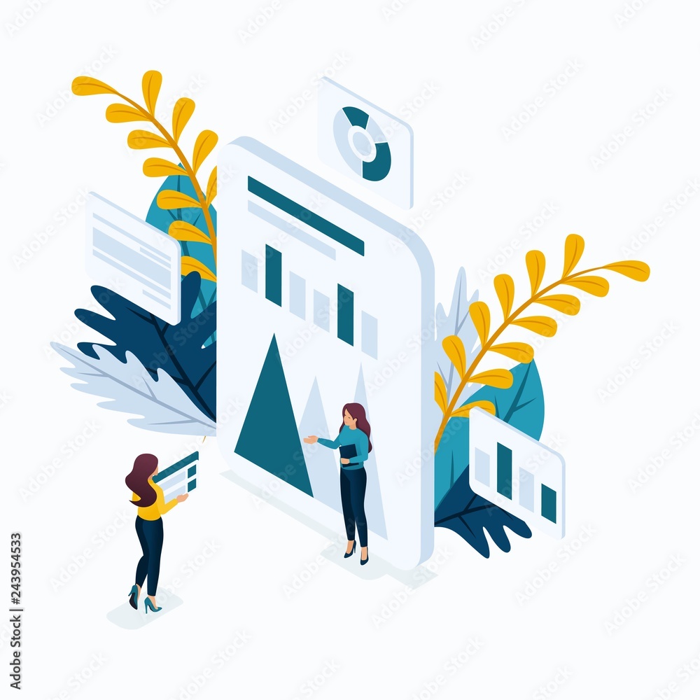 Isometric Data Verification for Analysis Stock Vector | Adobe Stock