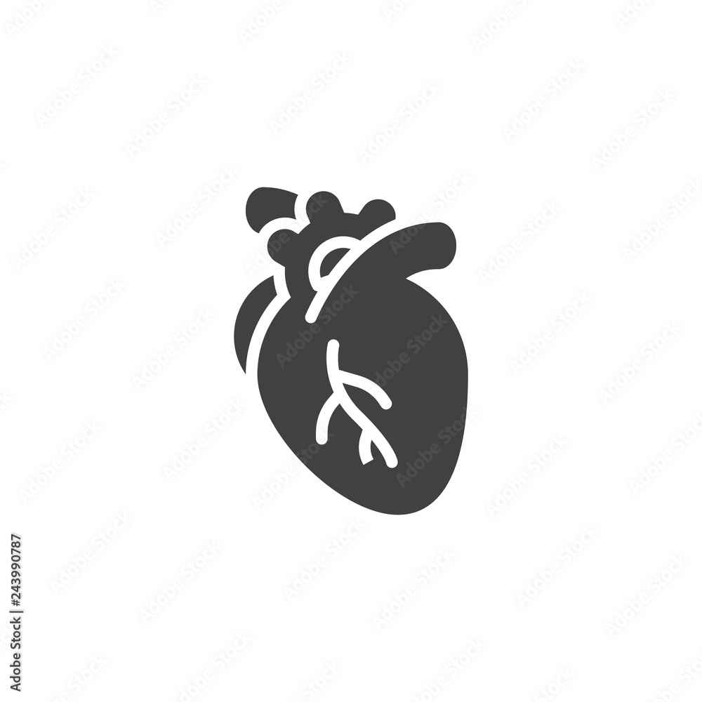 Simple Anatomical Heart Vector