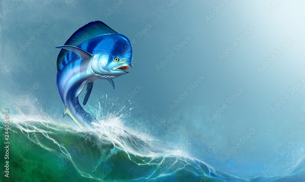 Mahi mahi or dolphin fish on white. Mahi mahi blue fish. Stock ...