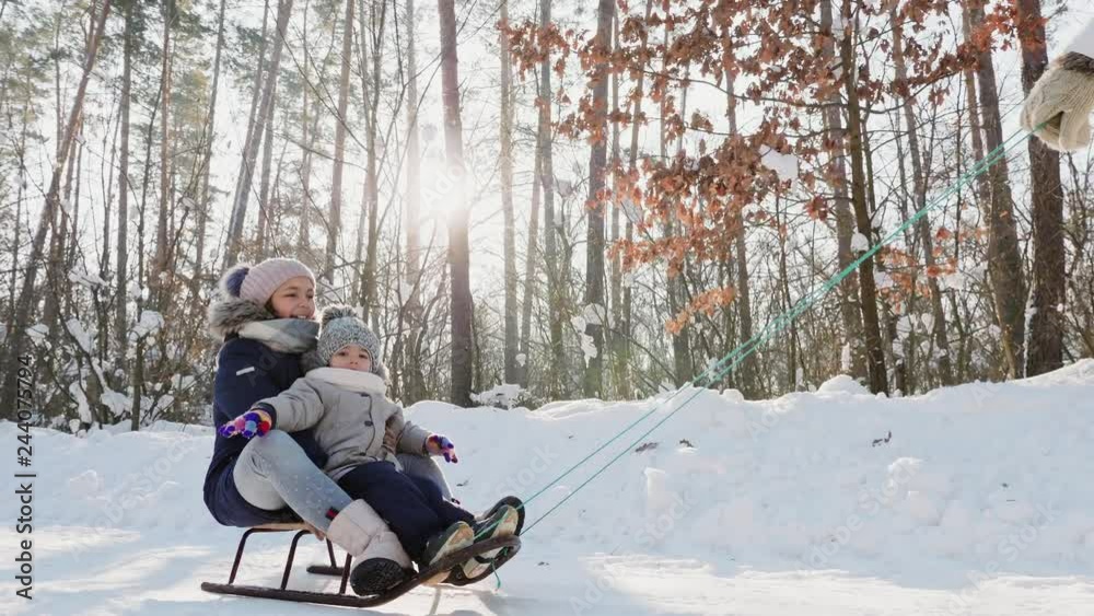 Unrecognizable mother pulling sled with kids 素材庫影片 | Adobe Stock