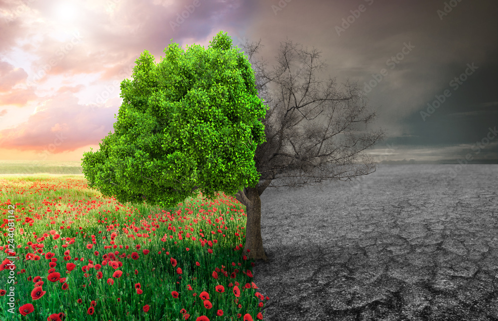 ecological concept with tree and climate changing landscape Stock Photo ...