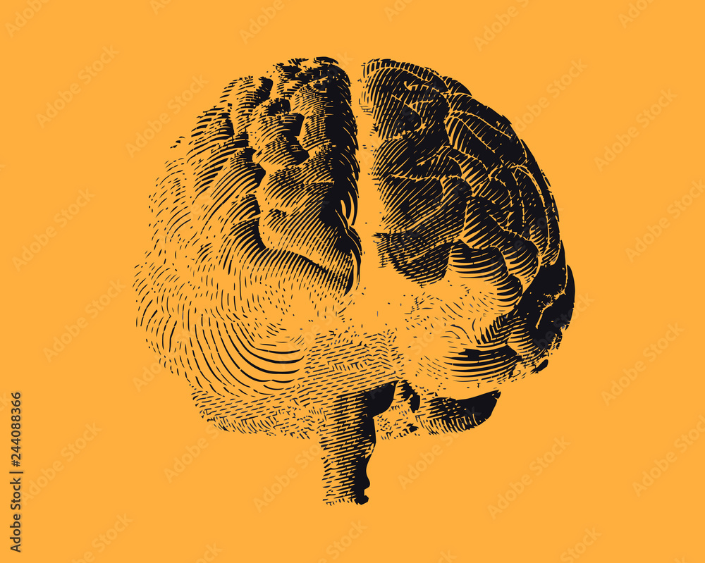 Black brain illustration on orange BG Stock Vector | Adobe Stock
