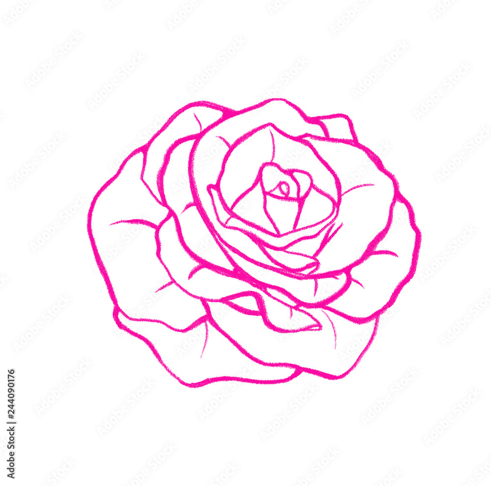 Hand drawn rose illustration. Outline drawing sketch for coloring ...