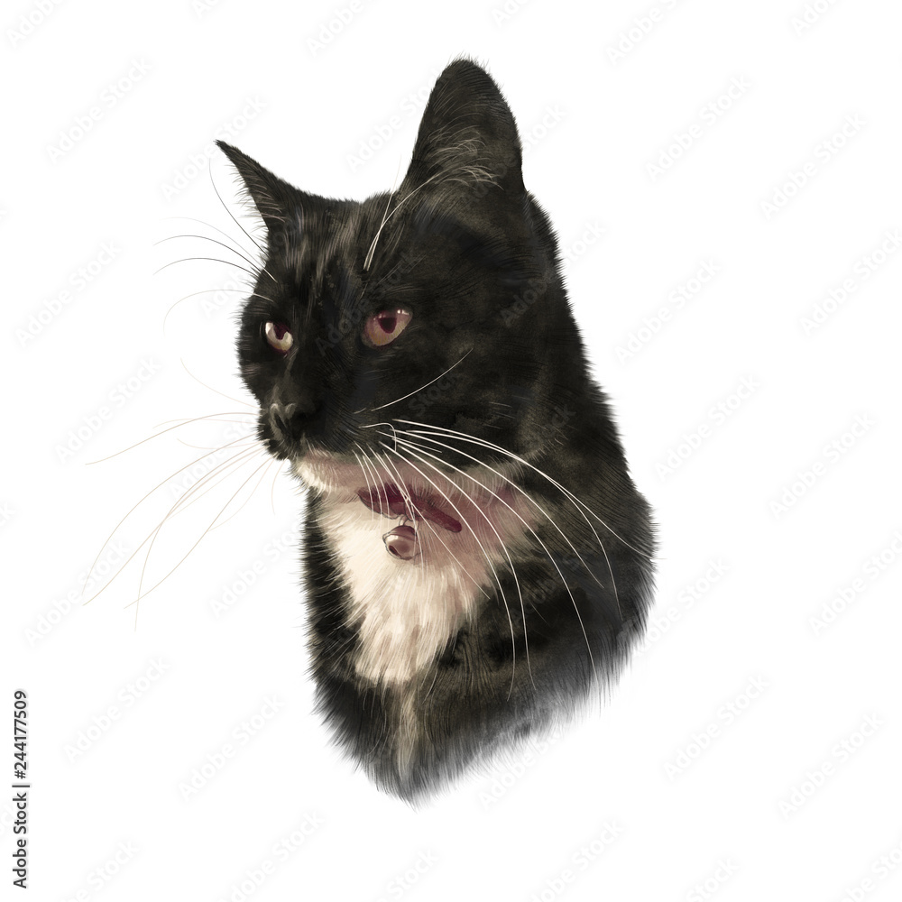 Cats With Real Mustaches